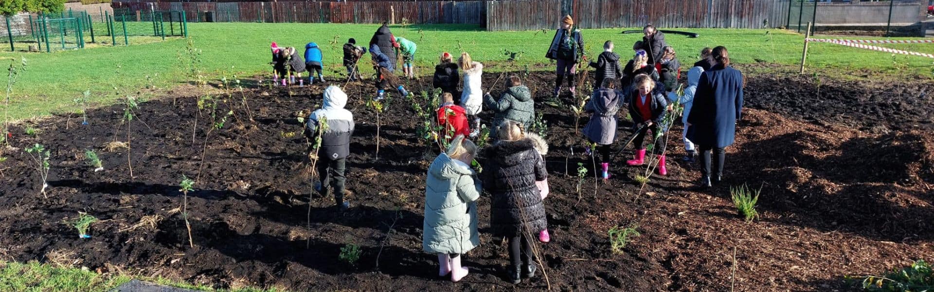 Northern Ireland's first Tiny Forest planted in Belfast - Earthwatch Europe
