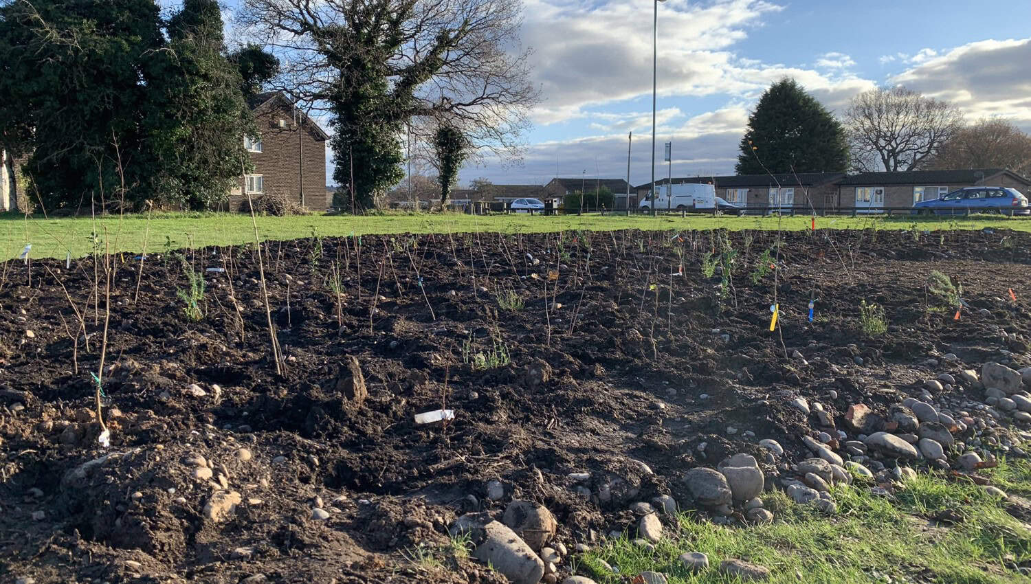 Bulwell Hall Park - Earthwatch Europe