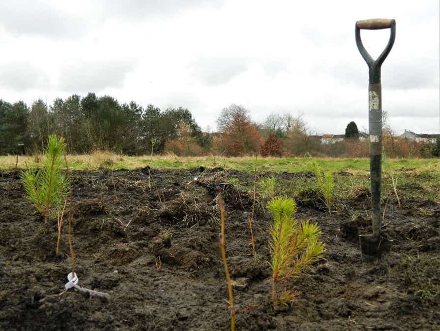 Addiewell, West Lothian - Earthwatch Europe
