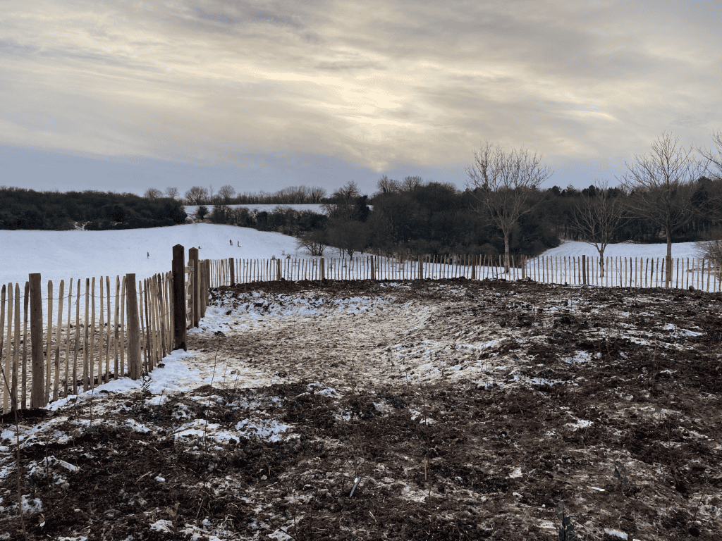 Mentmore Recreation Ground - Earthwatch Europe