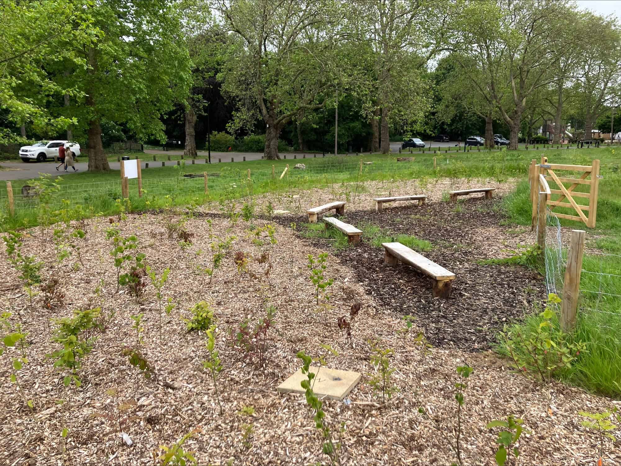 Peckham Rye Park & Common - Earthwatch Europe