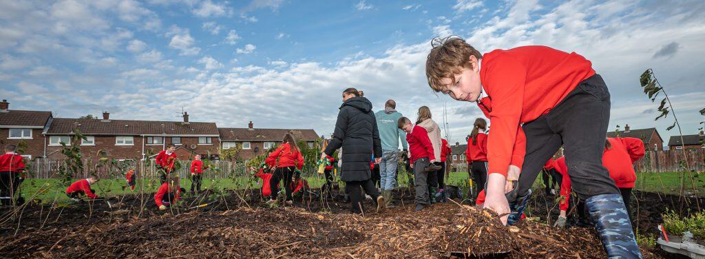 Tiny Forest - Earthwatch