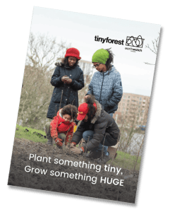 Tiny Forest - Earthwatch Europe