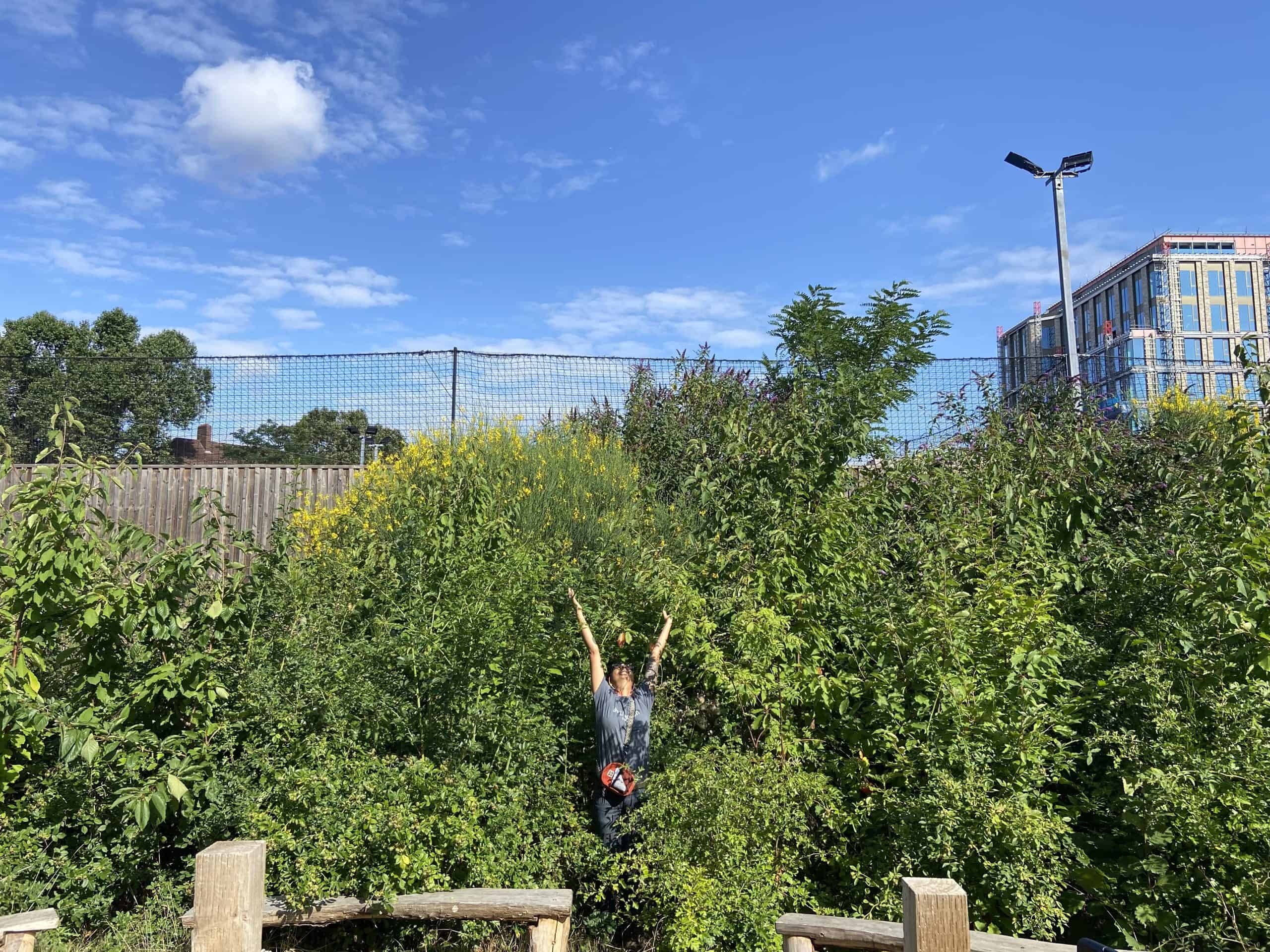 More than just trees: how Tiny Forests are taking root in communities ...