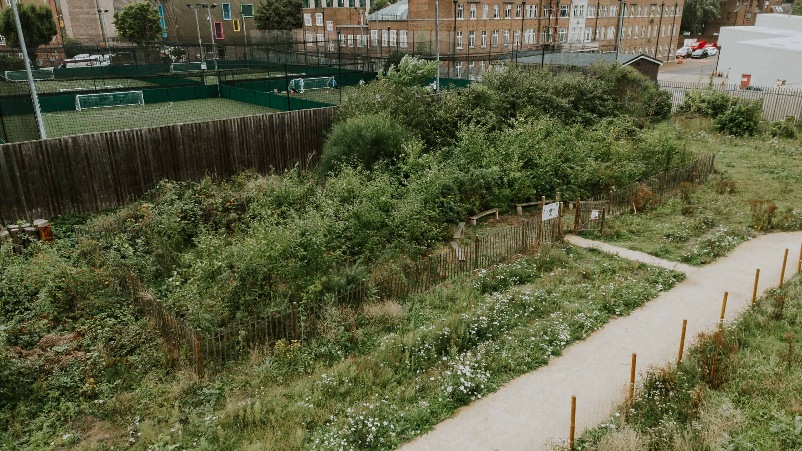 Tiny Forest - Earthwatch Europe