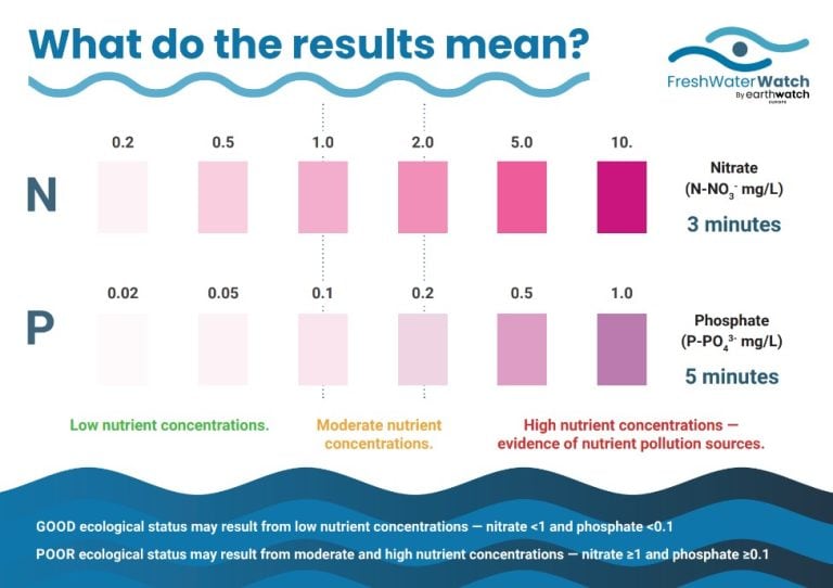 Water test kit: how and why we test for nutrient pollution - Earthwatch ...