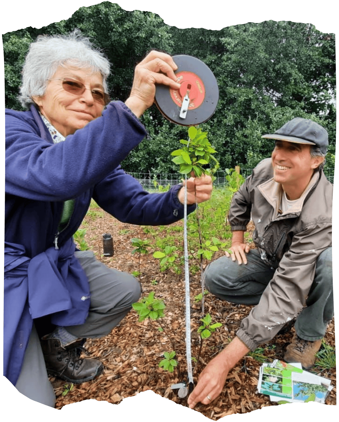 Tiny Forest Tree Survey - Earthwatch Europe