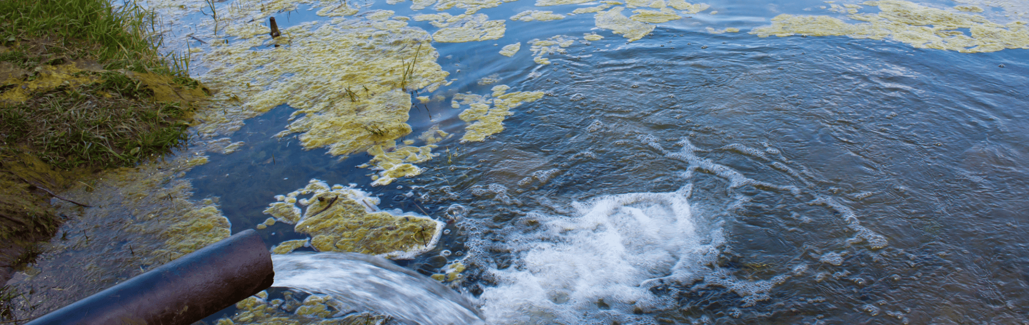 Water pollution in the UK: the causes and effects - Earthwatch Europe