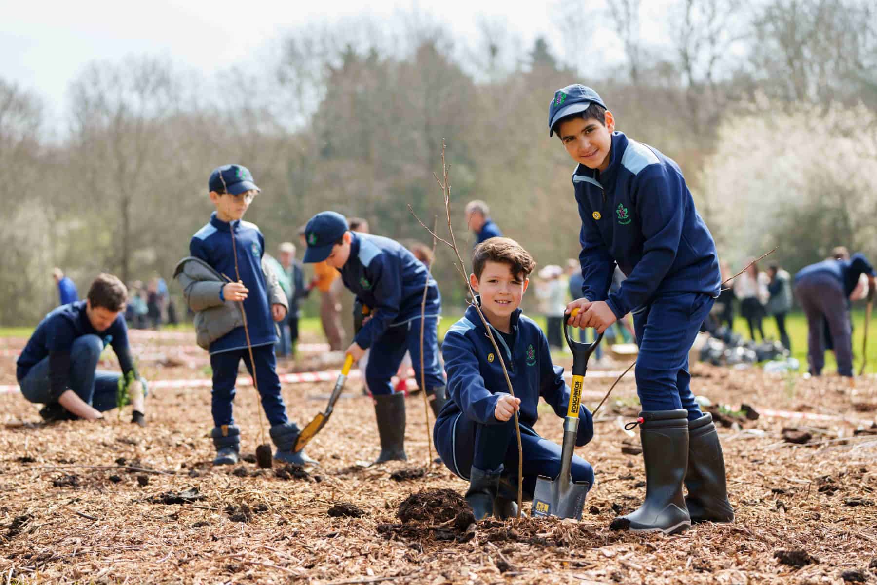 Tiny Forest - Earthwatch Europe
