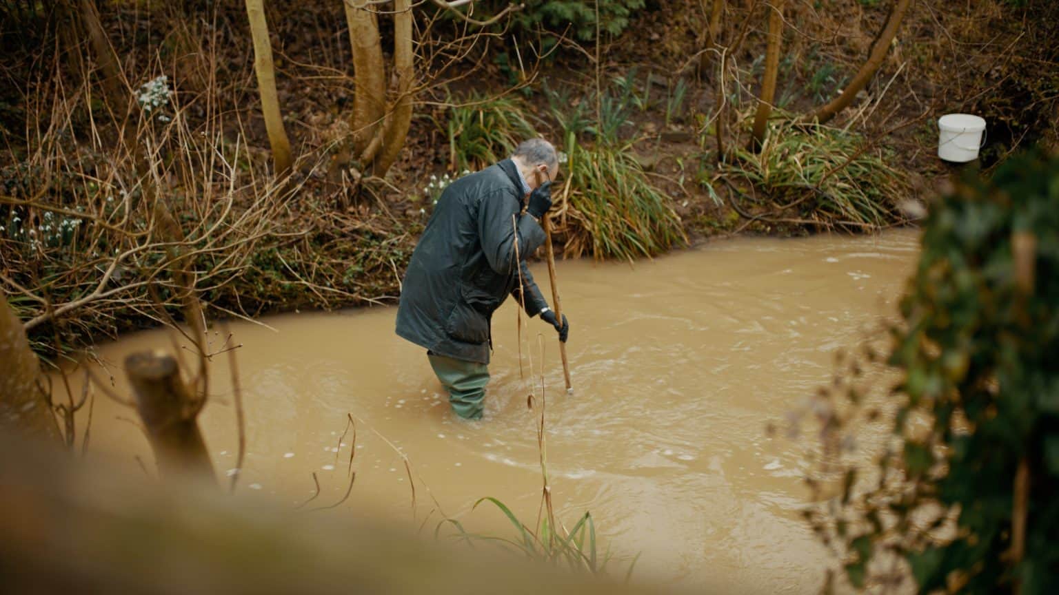 How to save water to help nature and reduce pollution - Earthwatch Europe