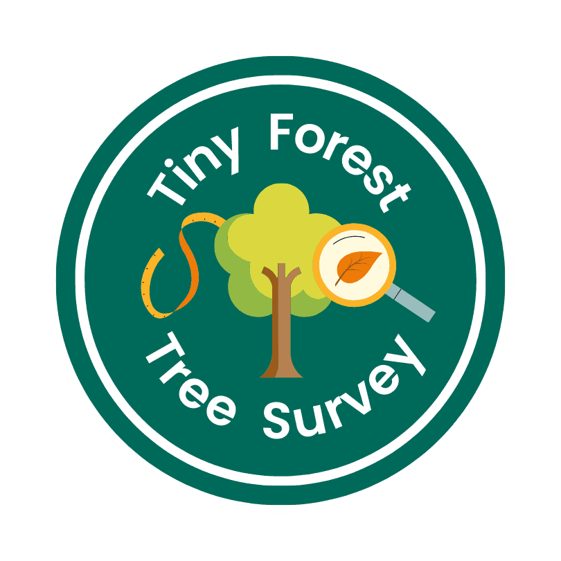 Tiny Forest Tree Survey - Earthwatch Europe